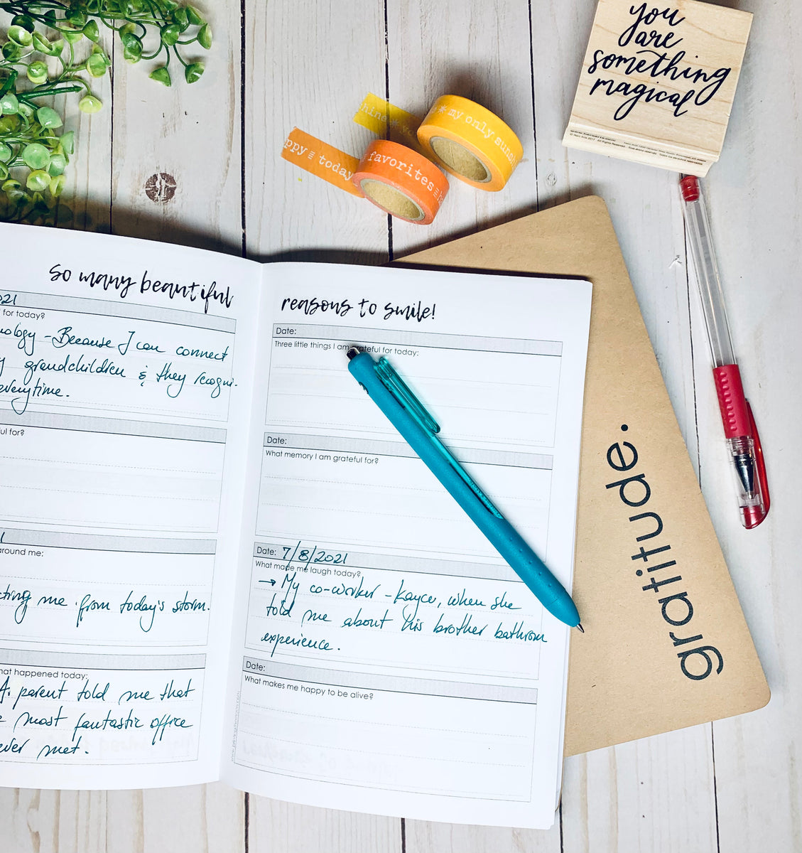 TRAVELER'S NOTEBOOK INSERTS ONLY - A5 Notebooks, Set of 4 notebooks, M ...